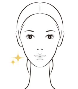 【SPICARE】V3 セットアップパウダー（シャイニー・スムース） - 株式会社BEEK 公式サイト