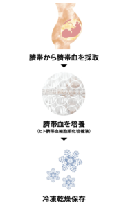 【SPICARE】V3 シャイニング ファンデーション - 株式会社BEEK 公式サイト